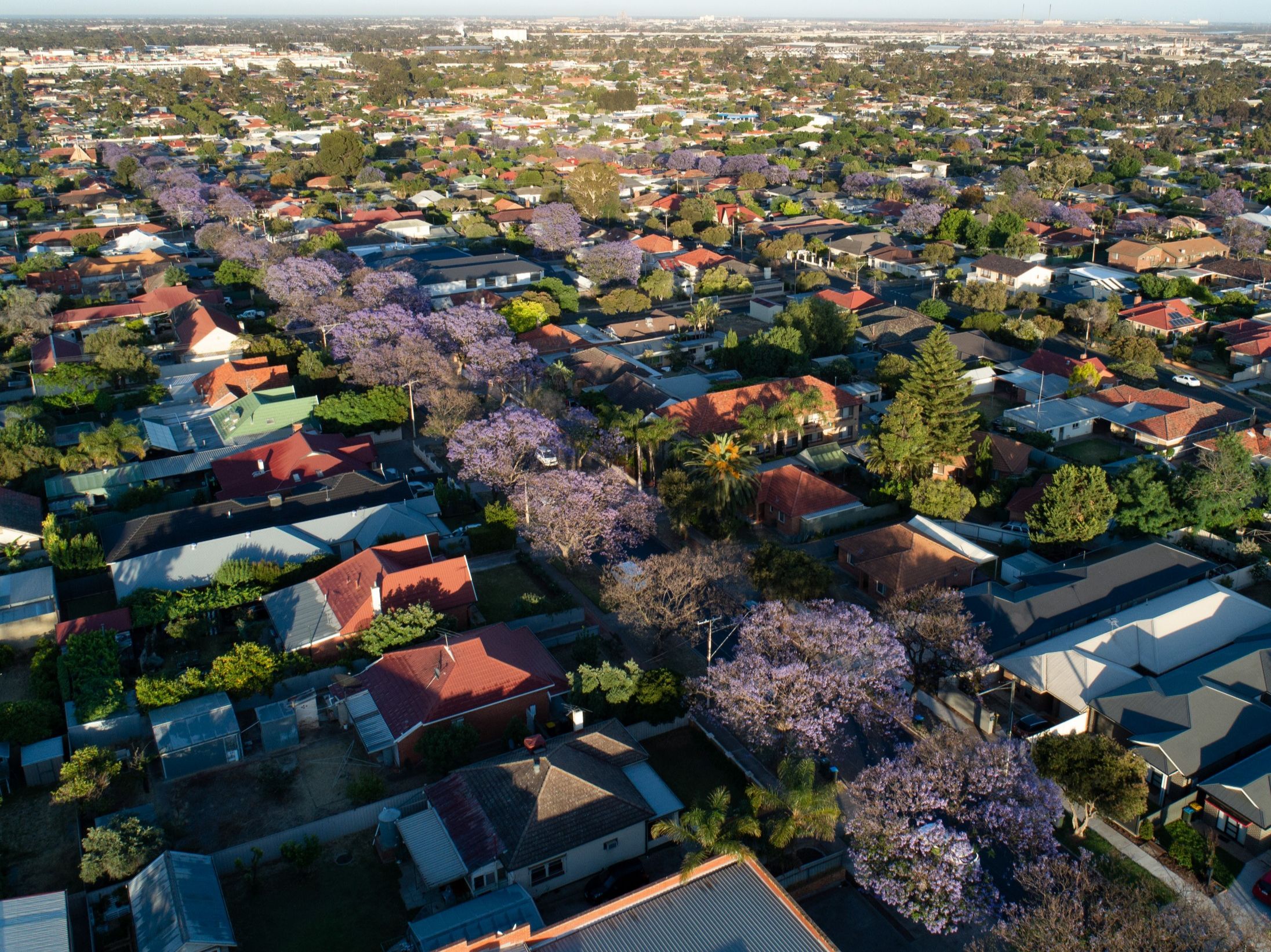 Victoria Street Streetscape Upgrade | Participate PAE